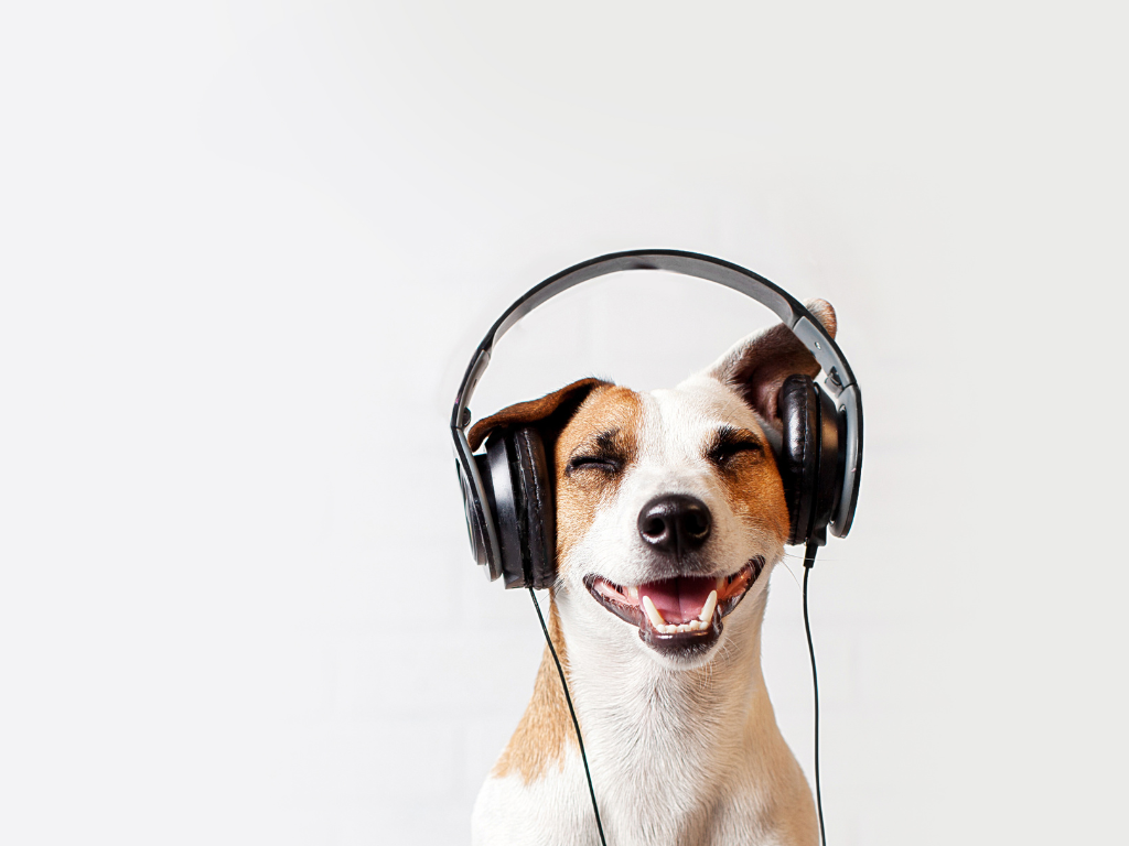 Listen to Lead: Strengthening Relationships as a Peer Recovery Coach - You Pick Recovery